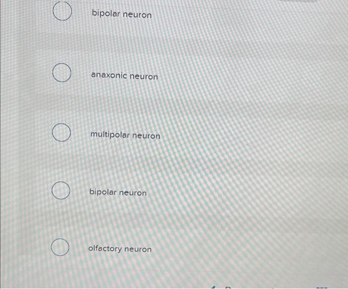 Solved Which structure is highlighted? Prev 3 of 10 Ney | Chegg.com