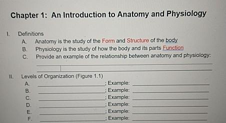 Solved Chapter 1: An Introduction to Anatomy and | Chegg.com