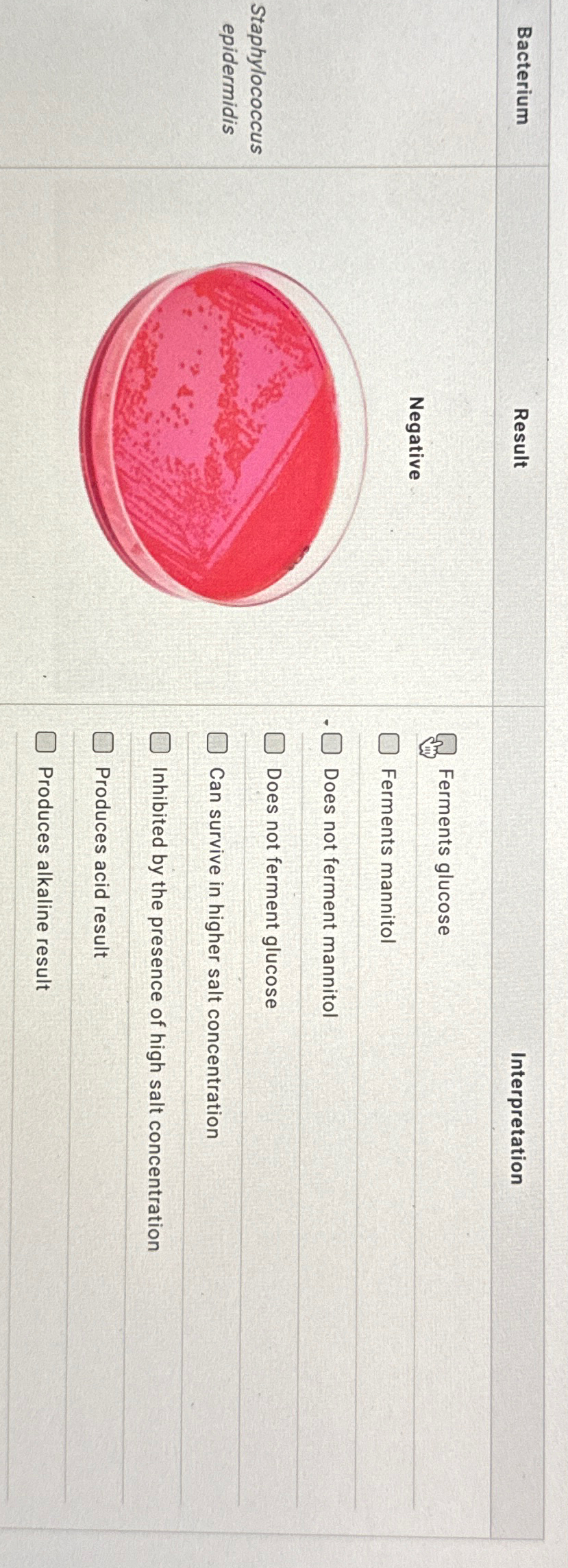Solved Choose correct interpretation for Staphlococcus | Chegg.com