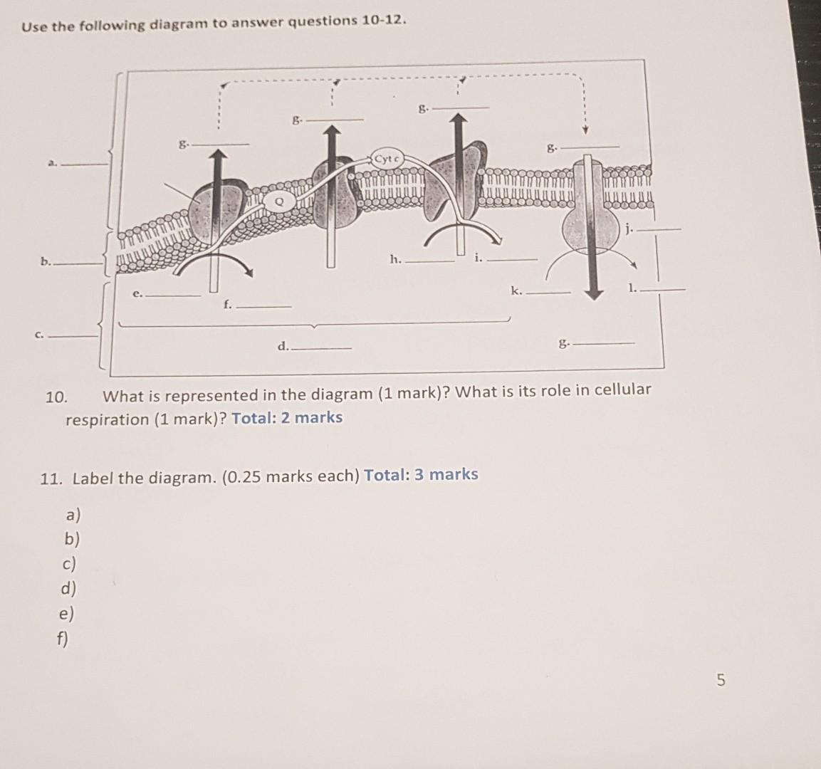 Use the following diagram to answer questions 10-12. | Chegg.com