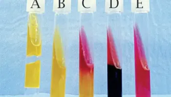 Solved Describe the result shown on each of the following | Chegg.com