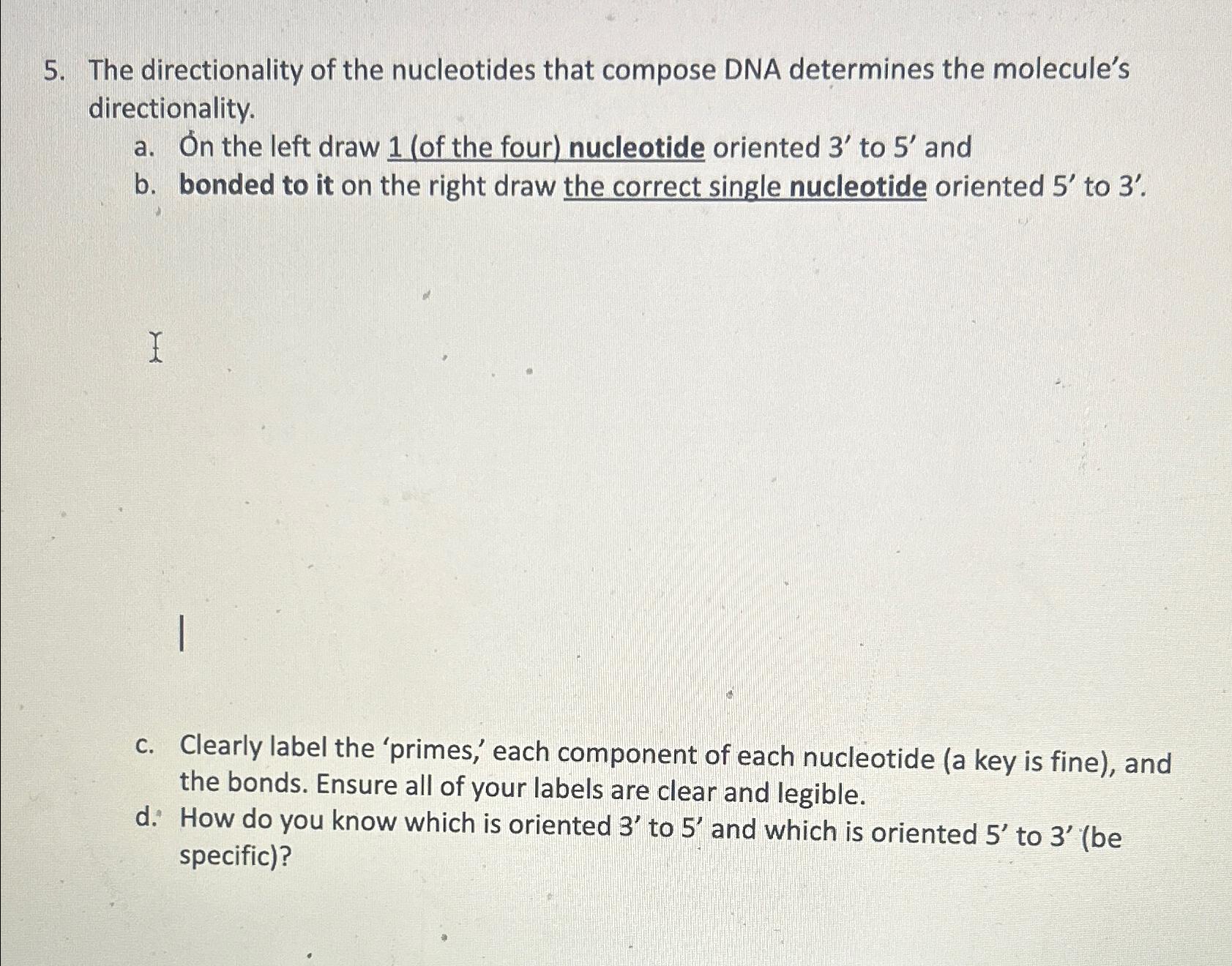 Solved The directionality of the nucleotides that compose | Chegg.com