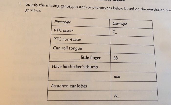 Solved 1. Supply the missing genotypes and/or phenotypes | Chegg.com