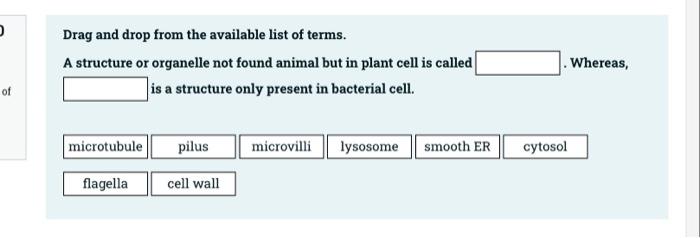 Solved Drag and drop from the available list of terms. A | Chegg.com