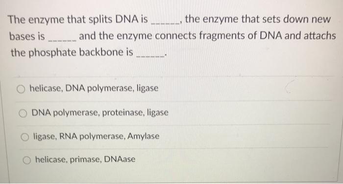 Solved The enzyme that splits DNA is ______, the enzyme that | Chegg.com