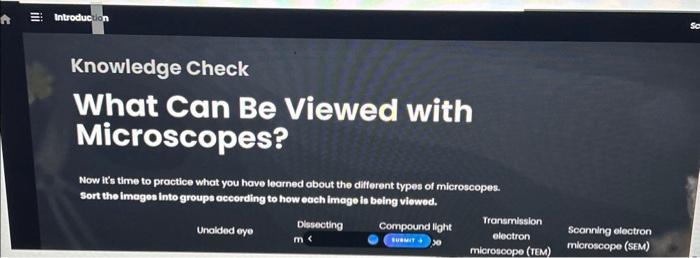 Solved Knowledge Check What Can Be Viewed with | Chegg.com