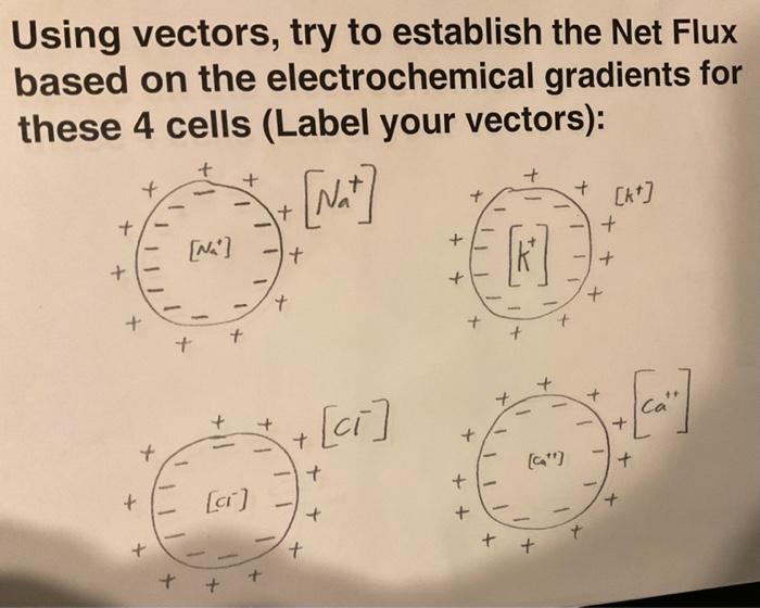 Using vectors, try to establish the Net Flux based on | Chegg.com