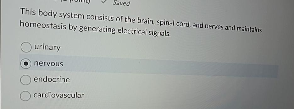 Solved This body system consists of the brain, spinal cord, | Chegg.com