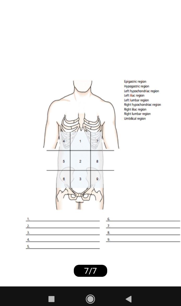 Solved Epigastric region Hypogastric region Left | Chegg.com