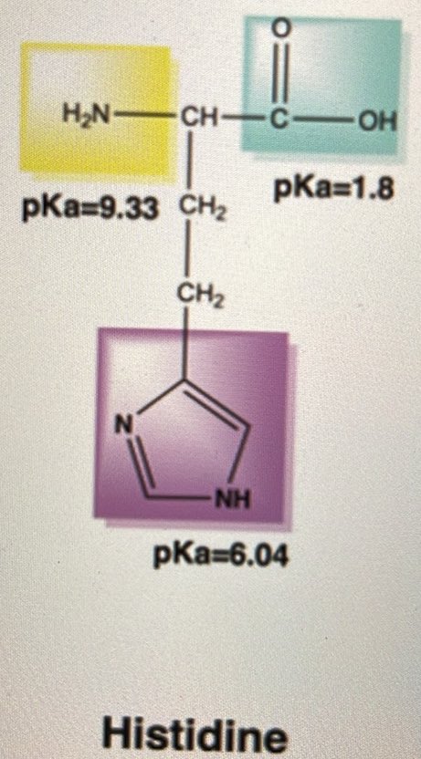 Given the information provided in the picture, | Chegg.com