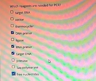 Solved Which reagents are needed for PCR?target | Chegg.com
