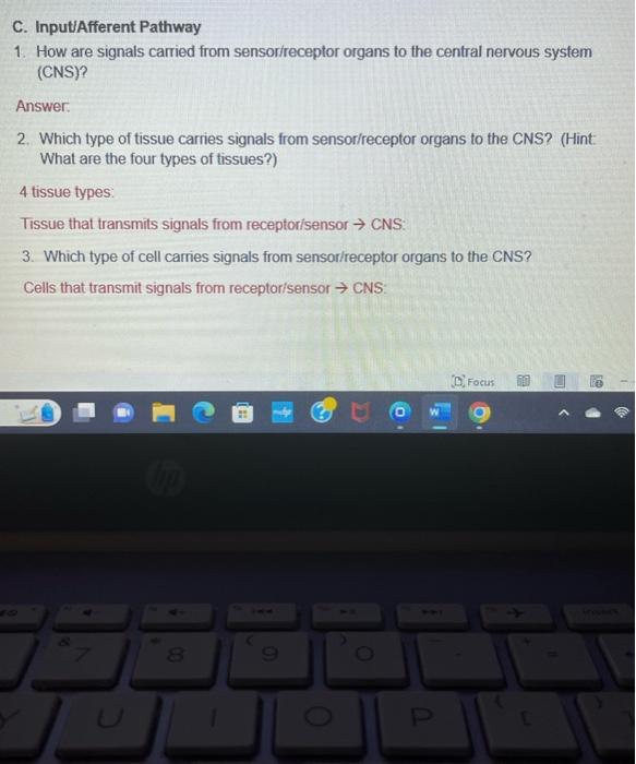 Solved C. InputAfferent Pathway 1. How are signals carried | Chegg.com