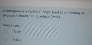 Solved A datagram is a variable-length packet consisting of | Chegg.com