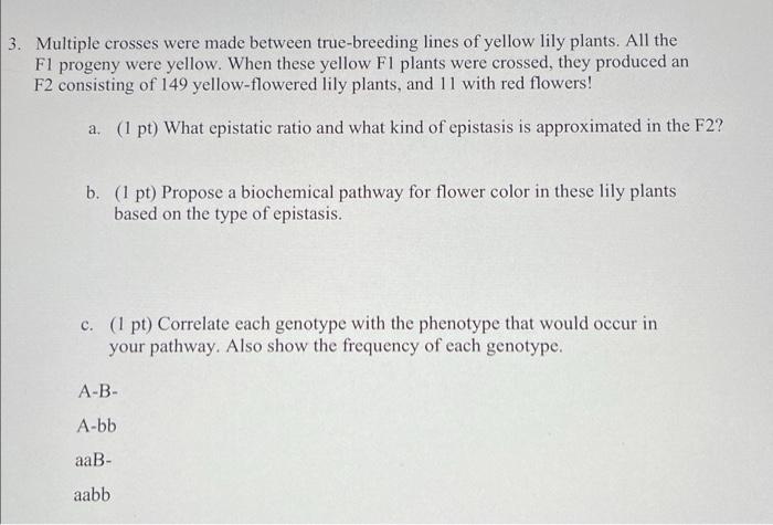 Solved Multiple crosses were made between true-breeding | Chegg.com