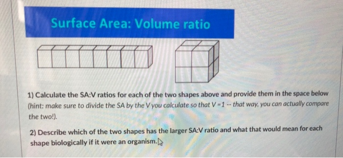 Solved Surface Area: Volume ratio 1) Calculate the SA:V | Chegg.com