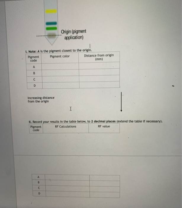 Exercise 3B. Separation of plant pigments by paper | Chegg.com