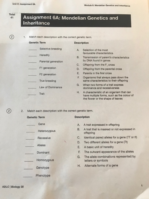 Solved Unit C: Assignment 6C Modulo 6: Mendelian Genetics | Chegg.com