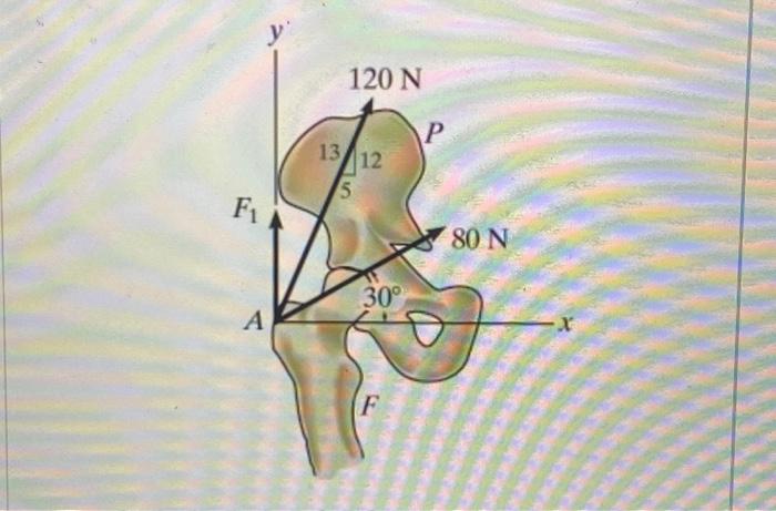 Solved The Pelvis P Is Connected To The Femur F At A Using