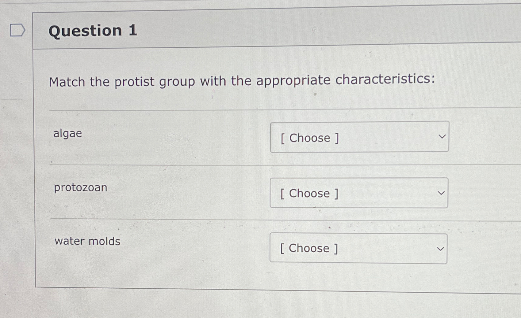 Solved Question 1Match the protist group with the | Chegg.com