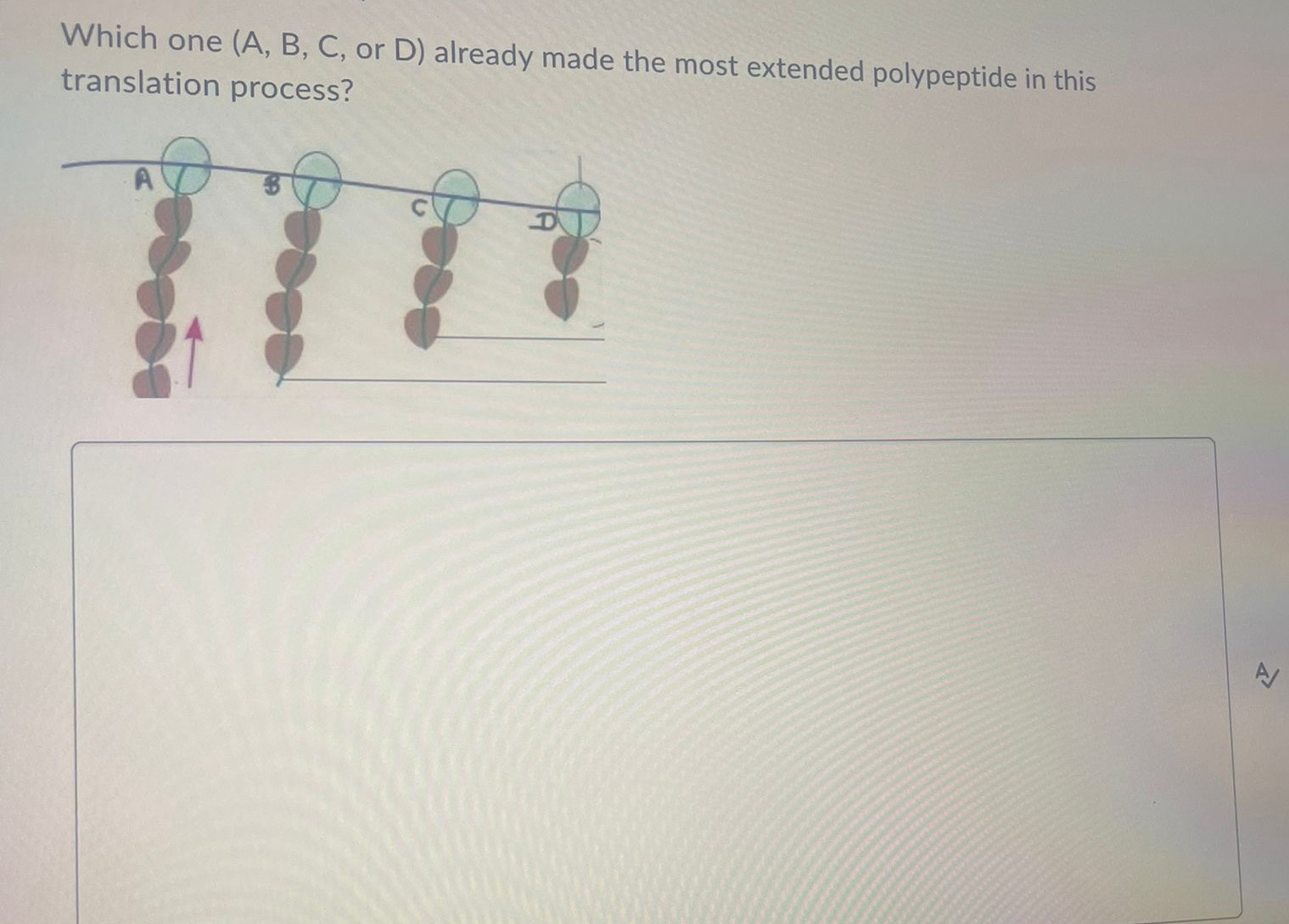 Solved Question 10 (4 ﻿points)Which one (A, ﻿B, ﻿C, ﻿or D) | Chegg.com