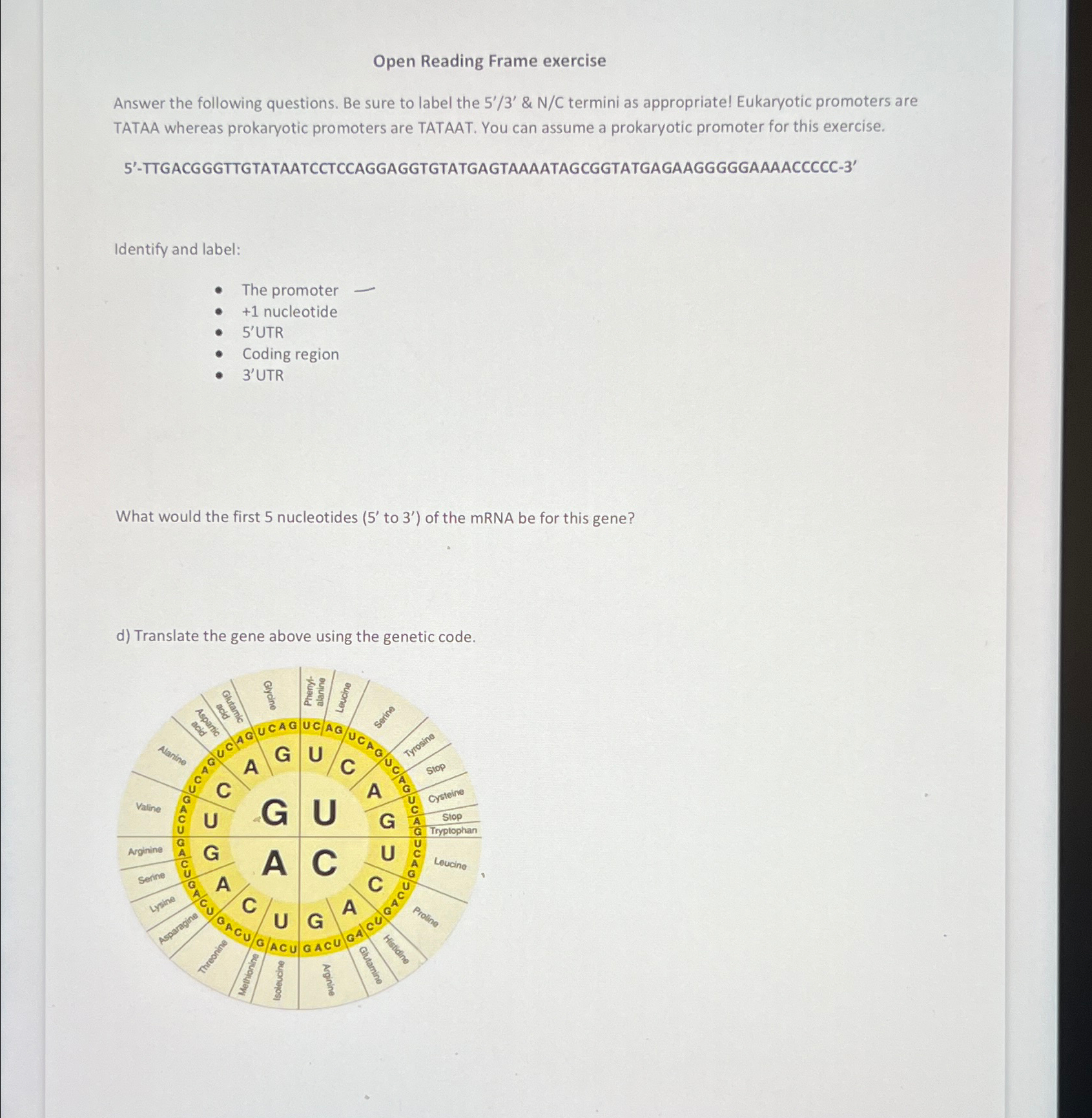 Open Reading Frame exerciseAnswer the following | Chegg.com