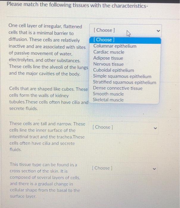 Please match the following tissues with the | Chegg.com
