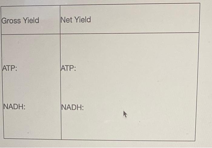 Solved Erom mamonu list the three main phases of alycolysis, | Chegg.com Solved Erom mamonu list the three main phases of alycolysis, | Chegg.com