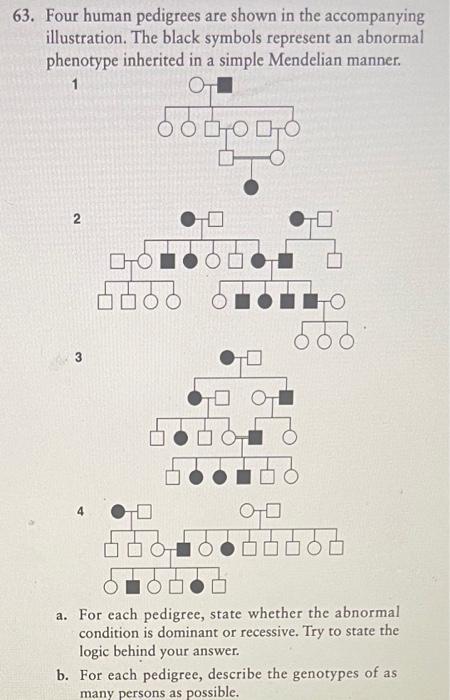 Solved 63. Four human pedigrees are shown in the | Chegg.com