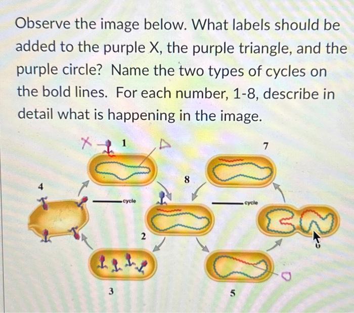 Solved Observe the image below. What labels should be added | Chegg.com