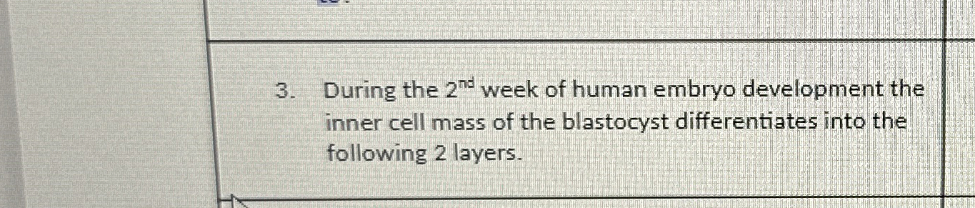 Solved During the 2nd ﻿week of human embryo development the | Chegg.com
