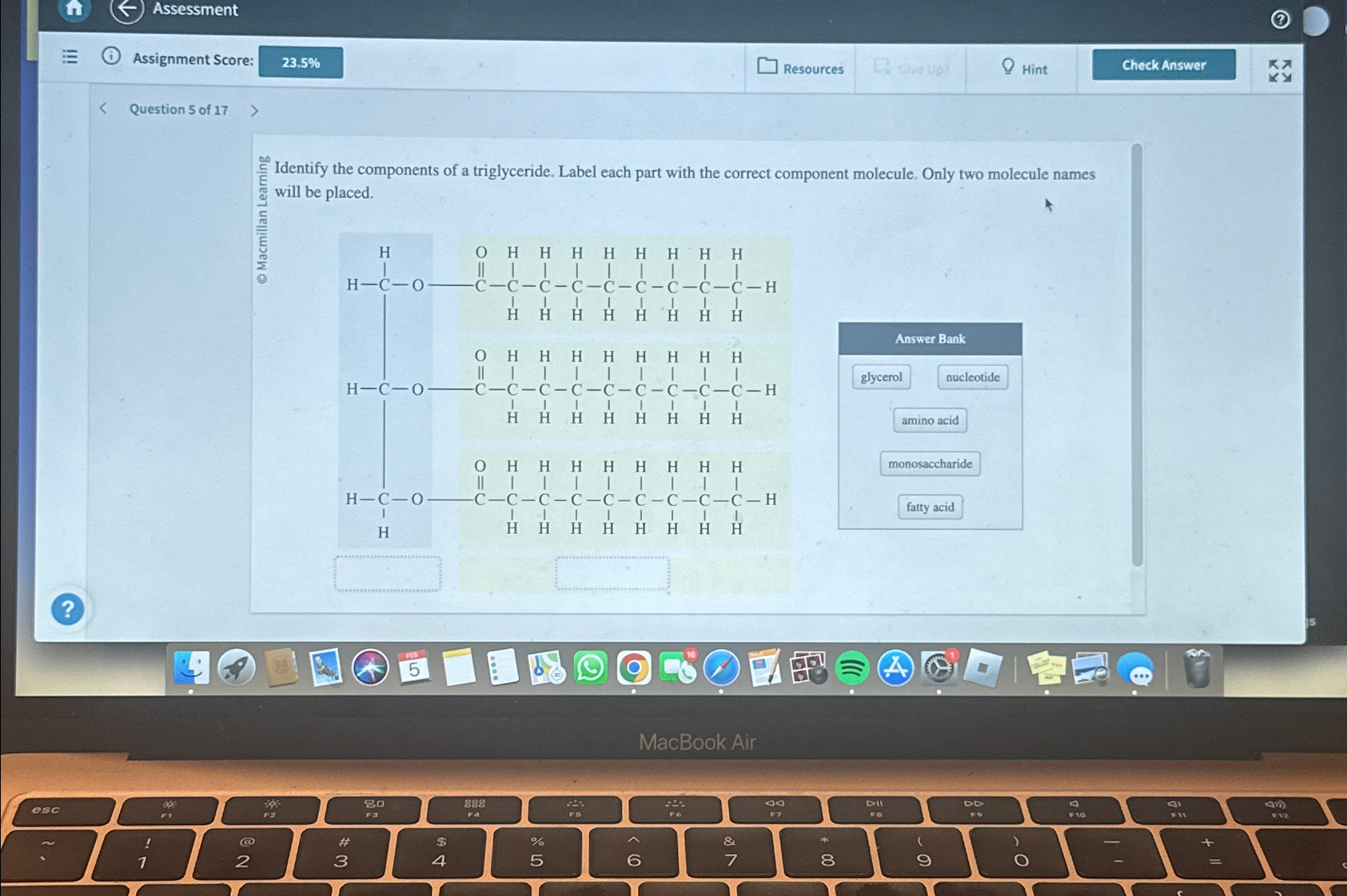 Solved AssessmentAssignment Score:ResourcesHintQuestion 5 | Chegg.com