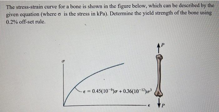 Solved a The stress-strain curve for a bone is shown in the | Chegg.com