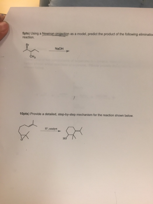 Solved 5pts) Using a Newman projection as a model, predict | Chegg.com