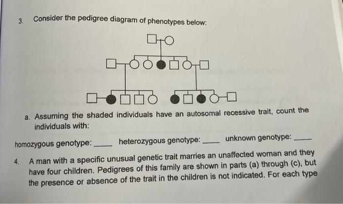 Solved 3 Consider the pedigree diagram of phenotypes below: | Chegg.com