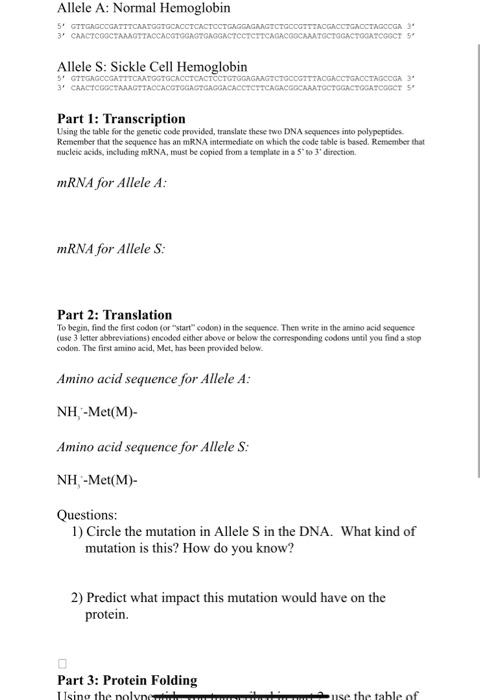 Solved Part 3: Protein Folding Using the polypeptide you | Chegg.com