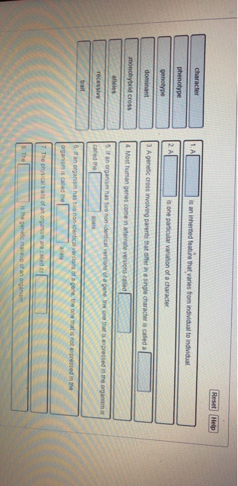 Solved Reset Help character is an inherited feature that | Chegg.com