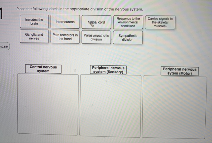 Solved Place the following labels in the appropriate | Chegg.com