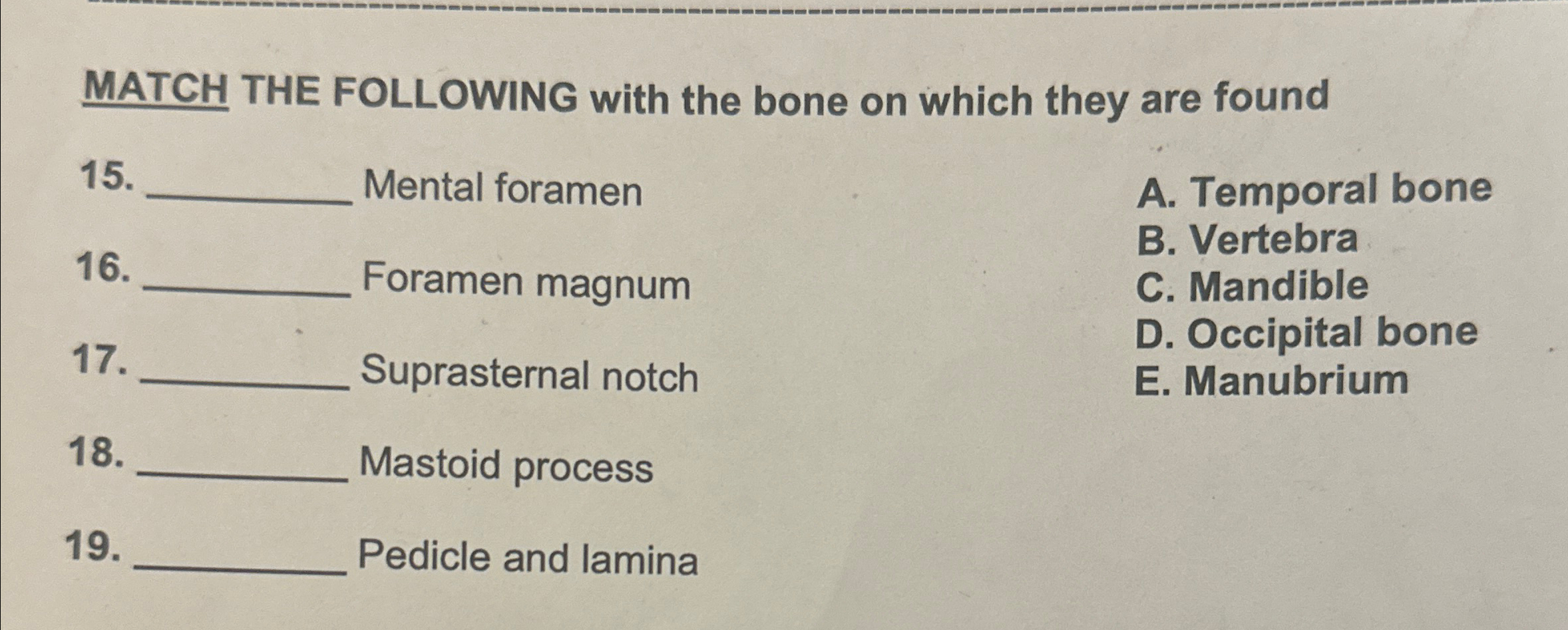 Solved MATCH THE FOLLOWING with the bone on which they are | Chegg.com