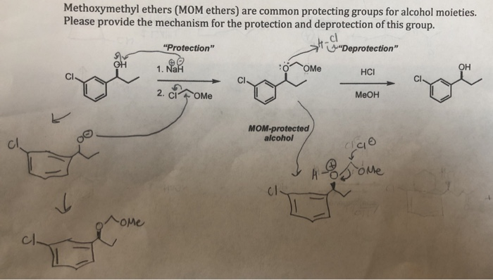Solved The protecting portion I know is correct, the | Chegg.com