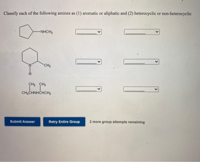 Solved Classify each of the following amines as primary, | Chegg.com