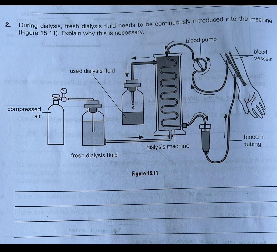 Solved 2. During dialysis, fresh dialysis fluid needs to be | Chegg.com