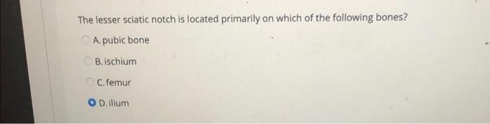 Solved The lesser sciatic notch is located primarily on | Chegg.com