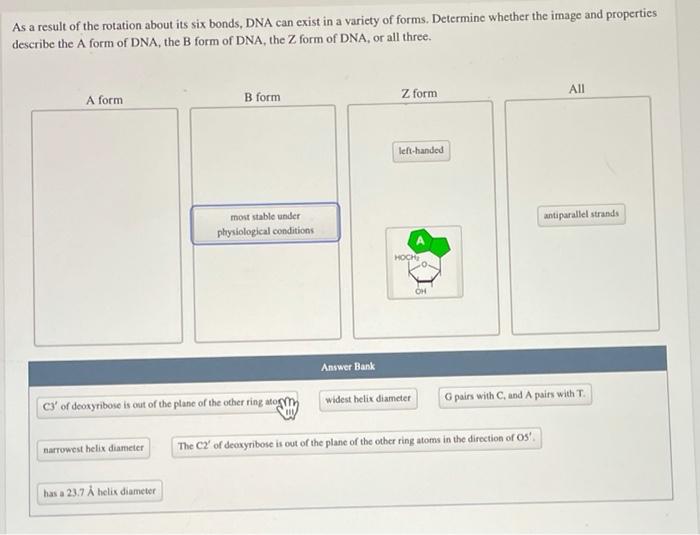 Solved As a result of the rotation about its six bonds, DNA | Chegg.com