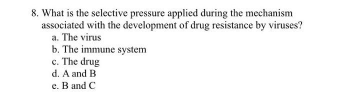 Solved 8. What is the selective pressure applied during the | Chegg.com