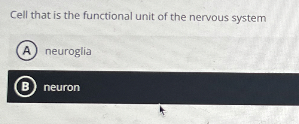Solved Cell that is the functional unit of the nervous | Chegg.com