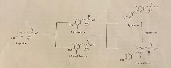 Solved Questions 1. Provide the mechanism for the iodination | Chegg.com