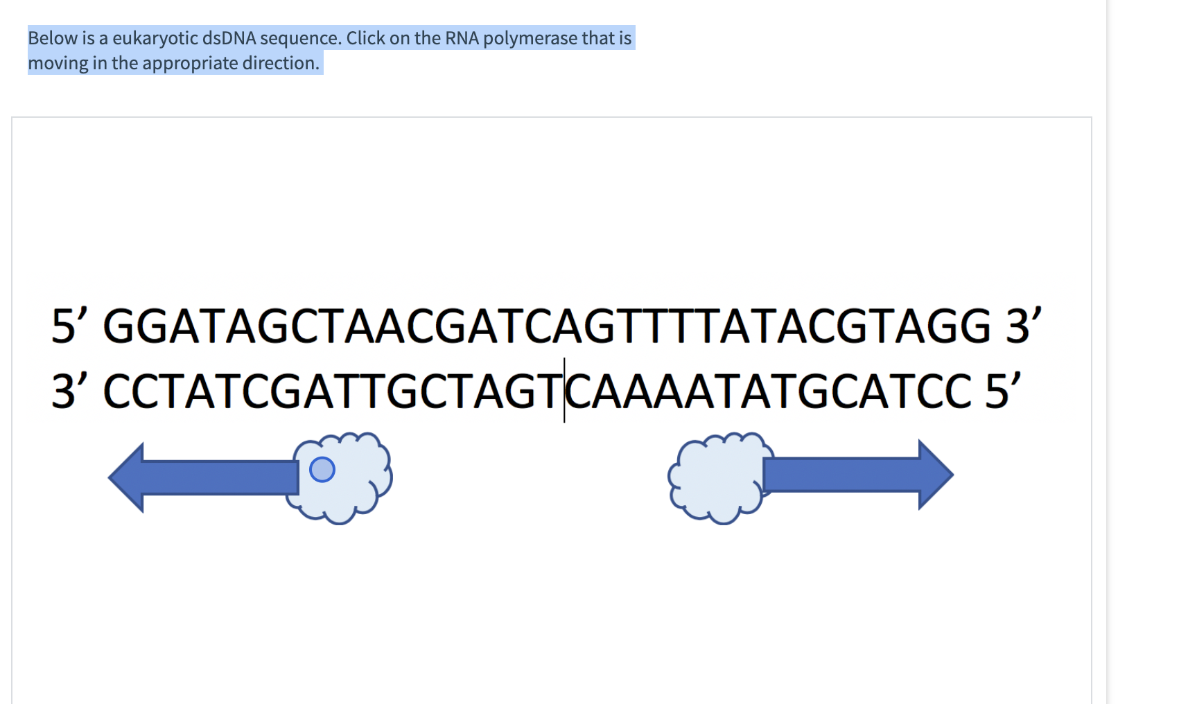 Solved Below is a eukaryotic dsDNA sequence. Click on the | Chegg.com