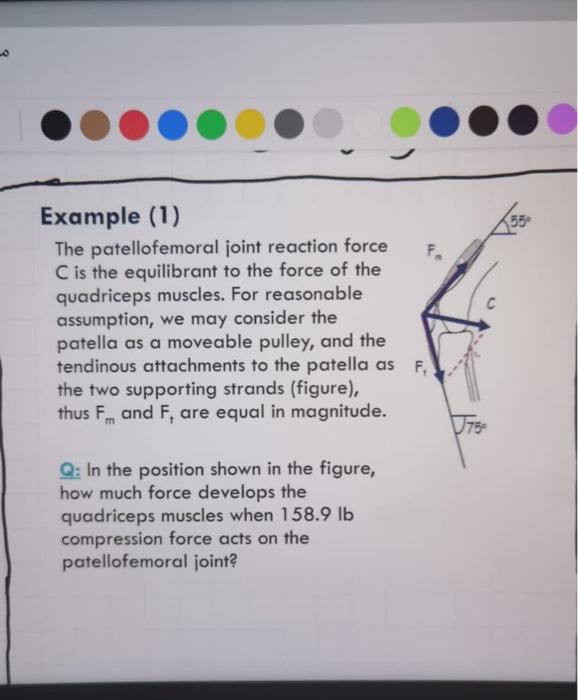 Solved Example (1) The patellofemoral joint reaction force C | Chegg.com