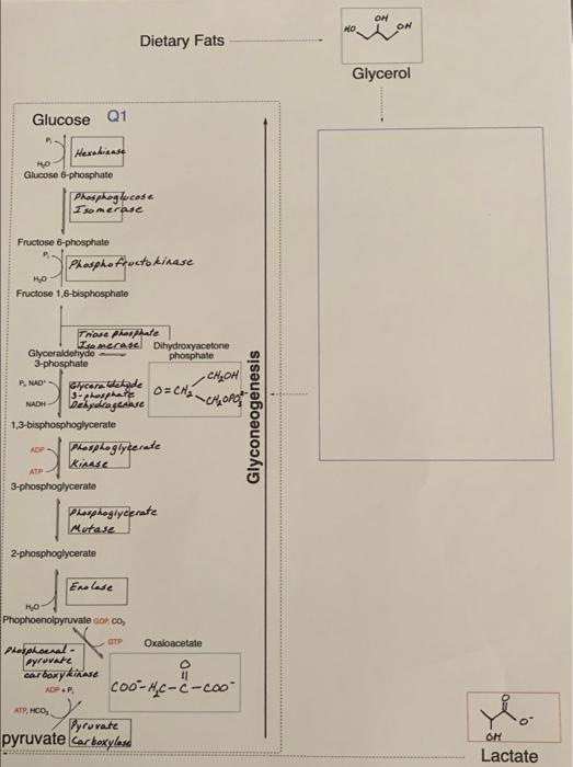 Phase Diagram Glycerol Solution Chemical Formula And Model O