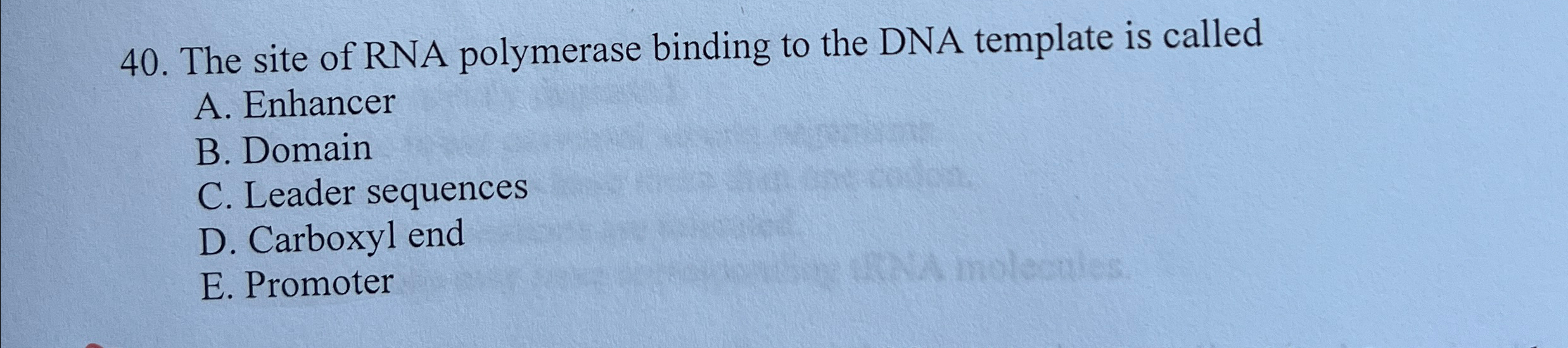 Solved The site of RNA polymerase binding to the DNA | Chegg.com